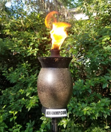 KM4NMP Safety Corner BUGS! – KM4NMP